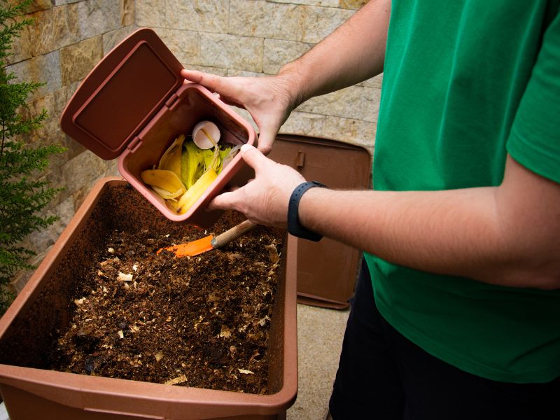 Los productos compostables y su uso en publicidad